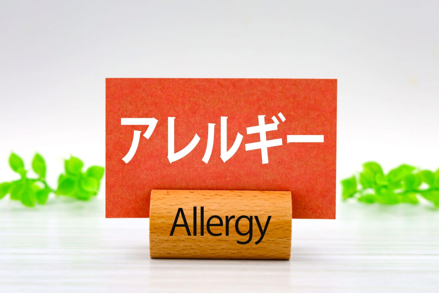 2025年11月 – OBPクリニック – 今月のおすすめ